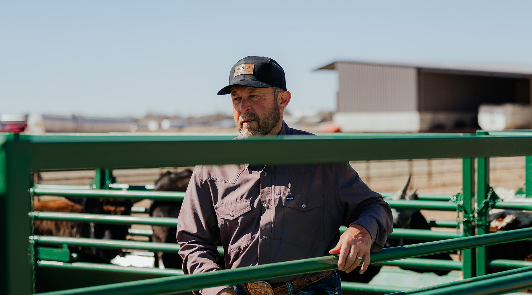 Caps – American Quarter Horse Association