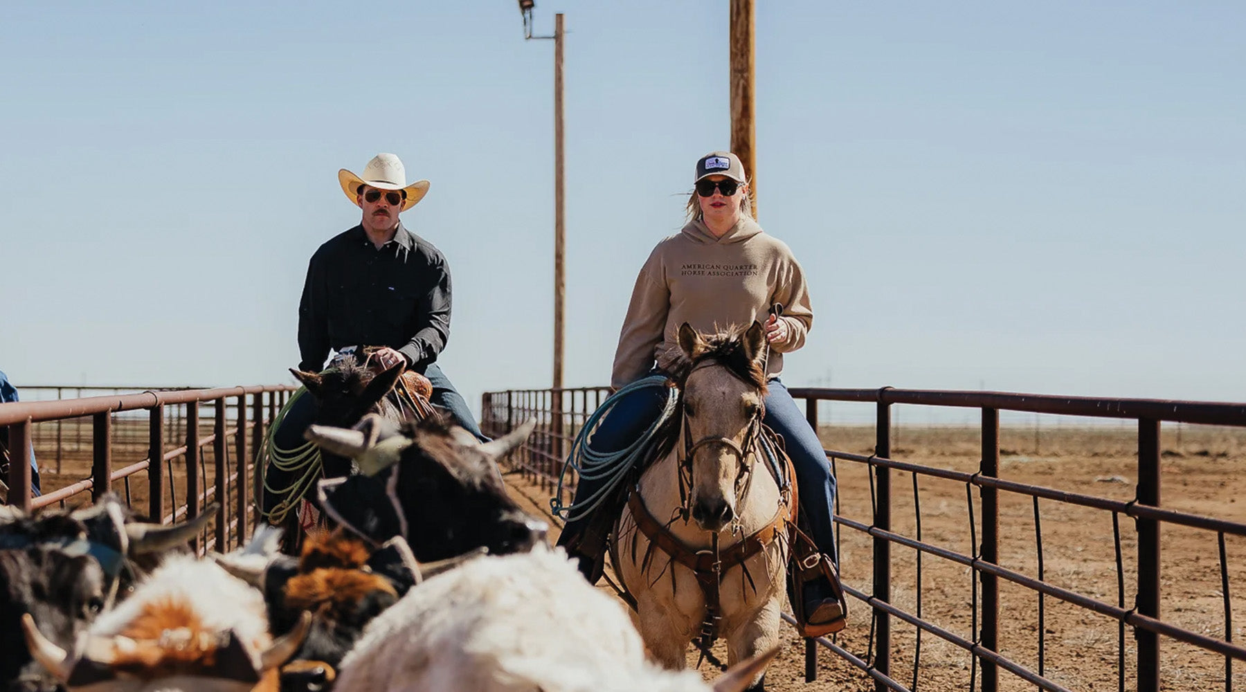 Men's Sweaters & Zips – American Quarter Horse Association