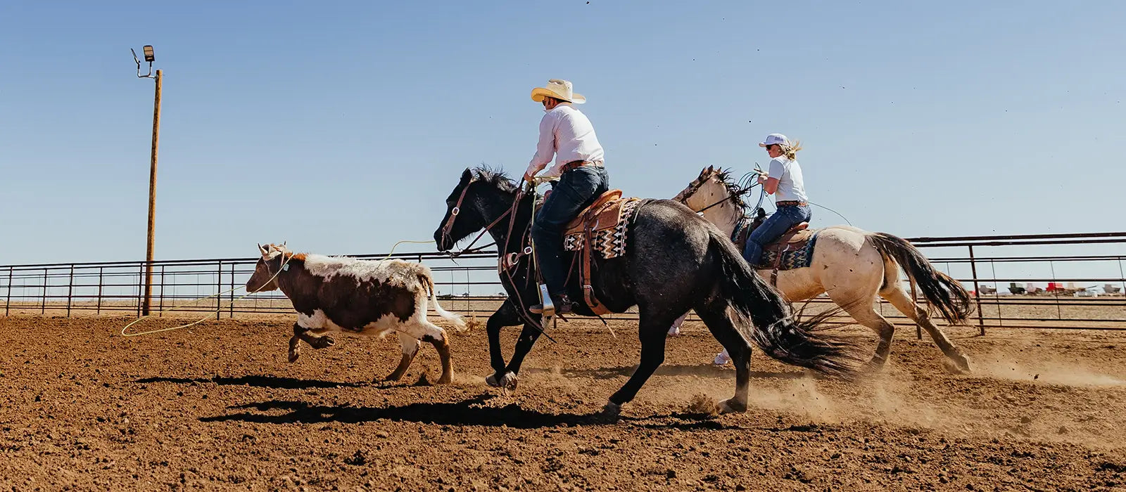 AQHA Store – American Quarter Horse Association